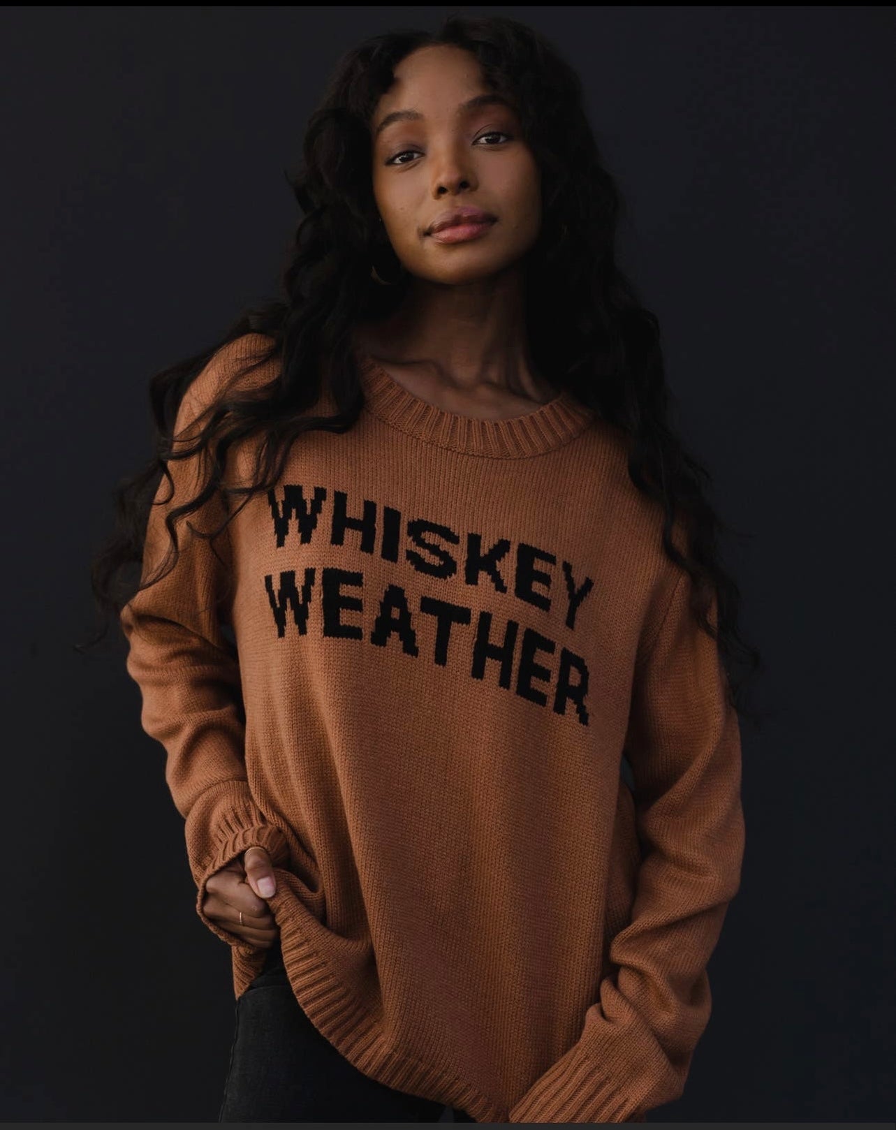 WHISKEY WEATHER Knit Pullover Sweater – Style Trolley